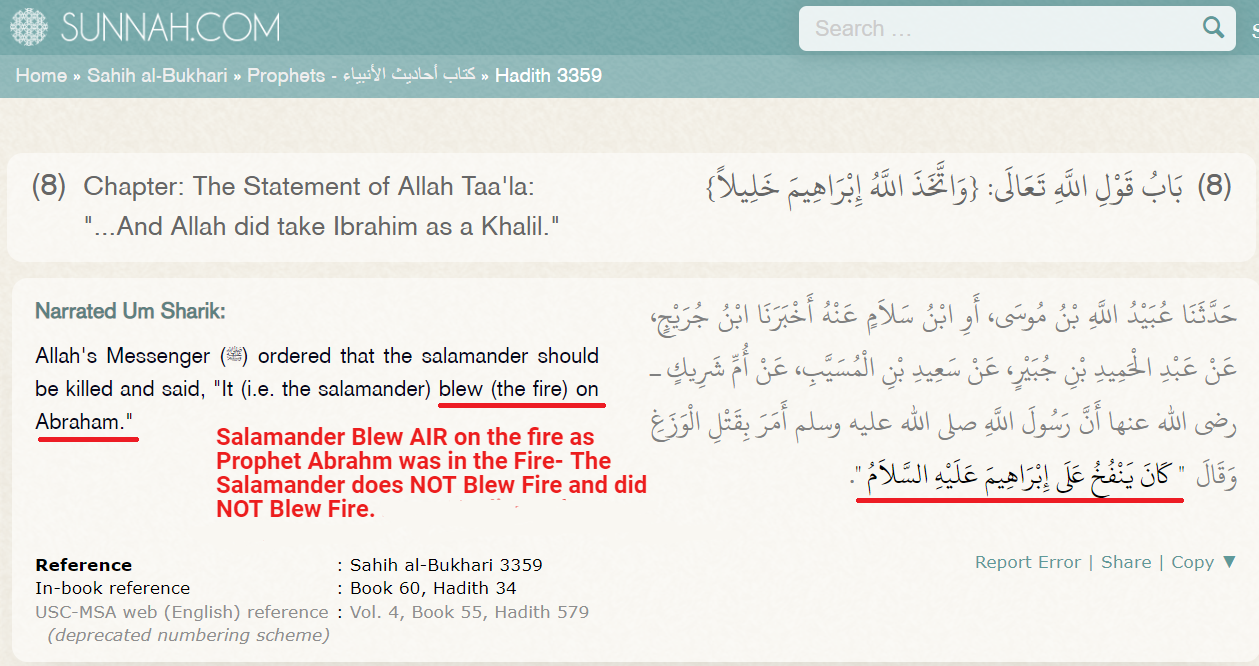 Clearing misconceptions about the Salamander Hadith, did Islam Tell us ...