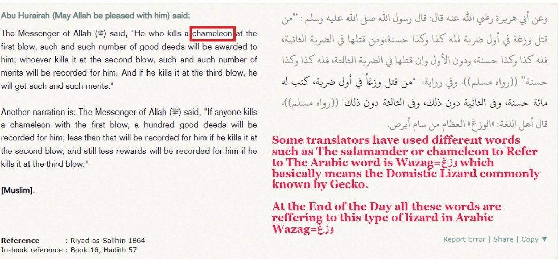 Clearing misconceptions about the Salamander Hadith, did Islam Tell us ...