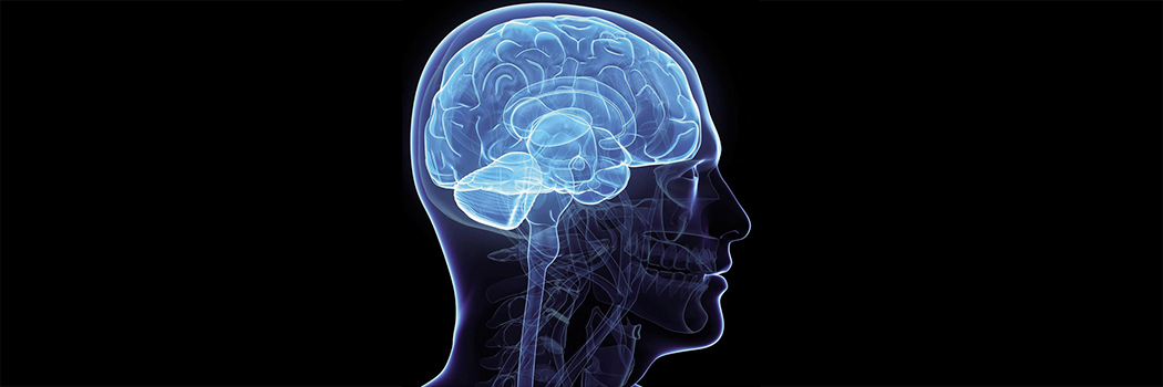 Qur’anic Miracles: The Forehead and Its Role in Human Behavior – A ...